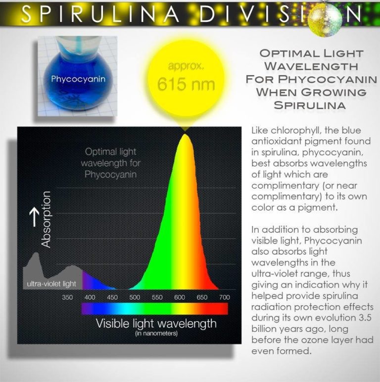 BioLumina is Food For Life - Food Integrity Now